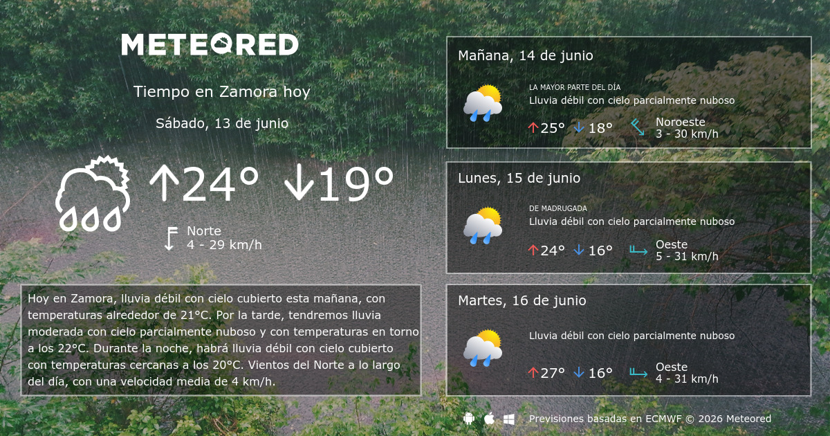 Tiempo en Zamora. Clima a 14 días - Meteored Ecuador